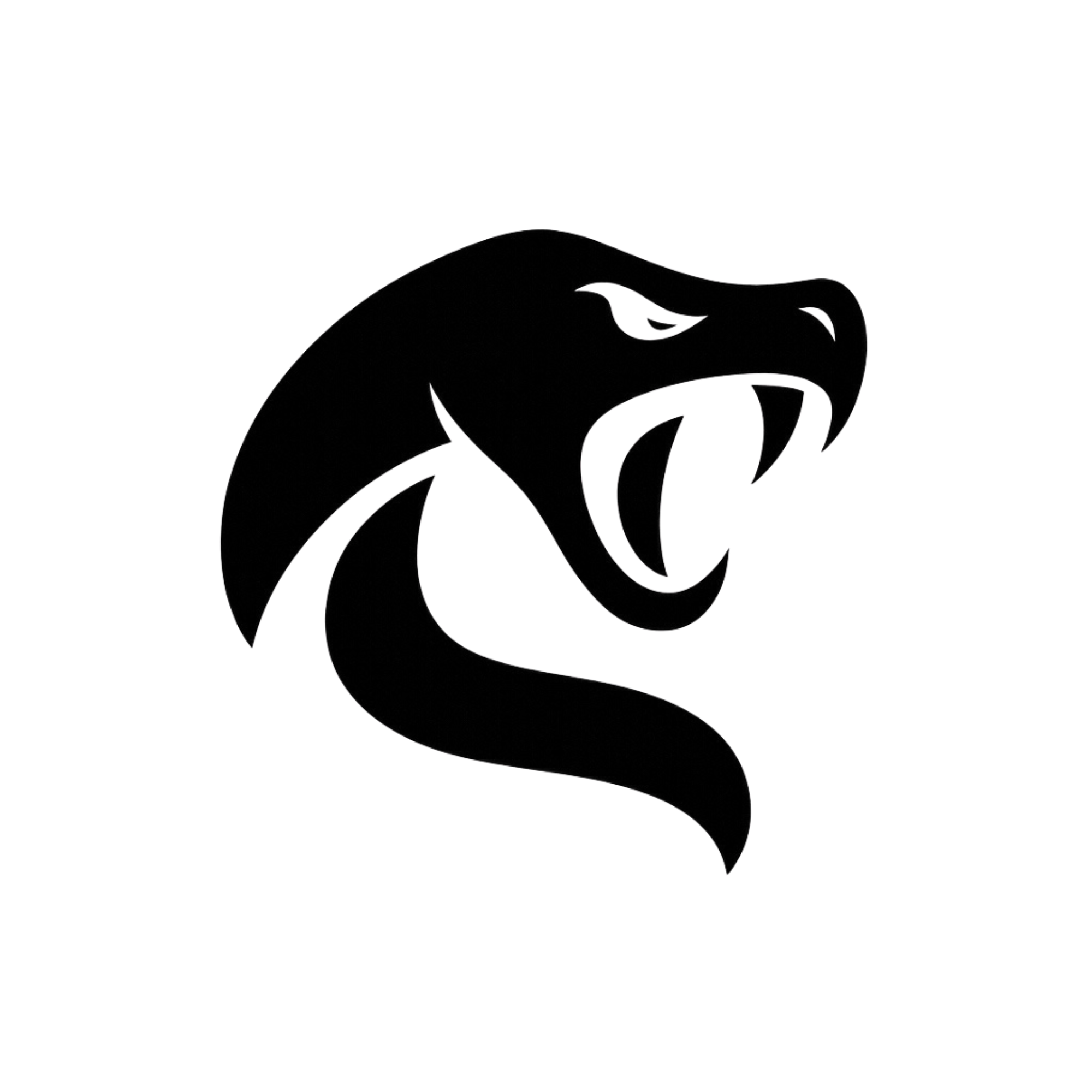 Atheris Digital | UGC Marketing & Paid Ads Agency